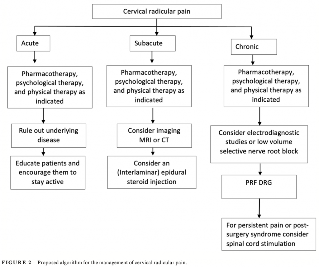 Dolor Radicular Cervical: Diagnóstico y Tratamiento – QDolor – Unidad ...